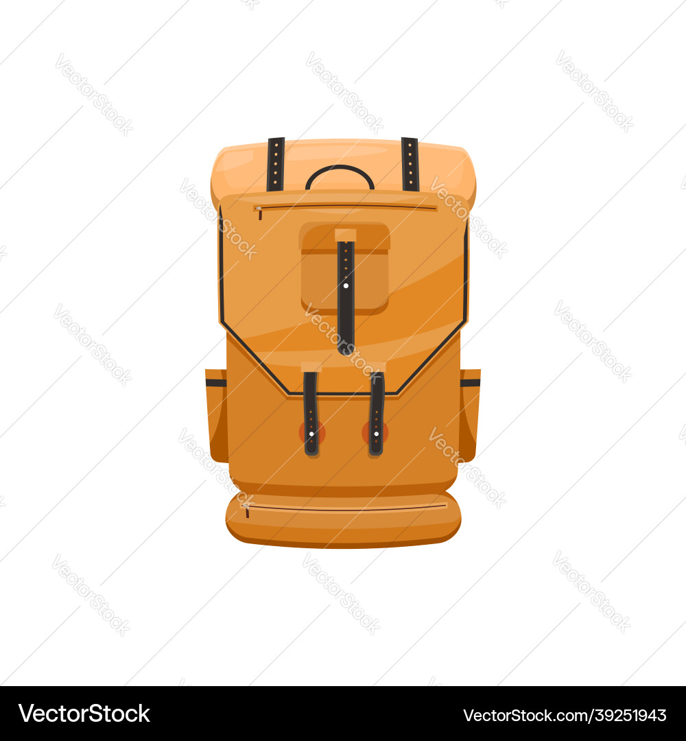 Travel bag back pack isolated trekking backpack Vector Image