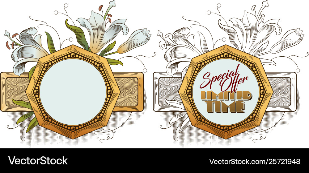 Blooming tree plant vignette for labels sticker Vector Image