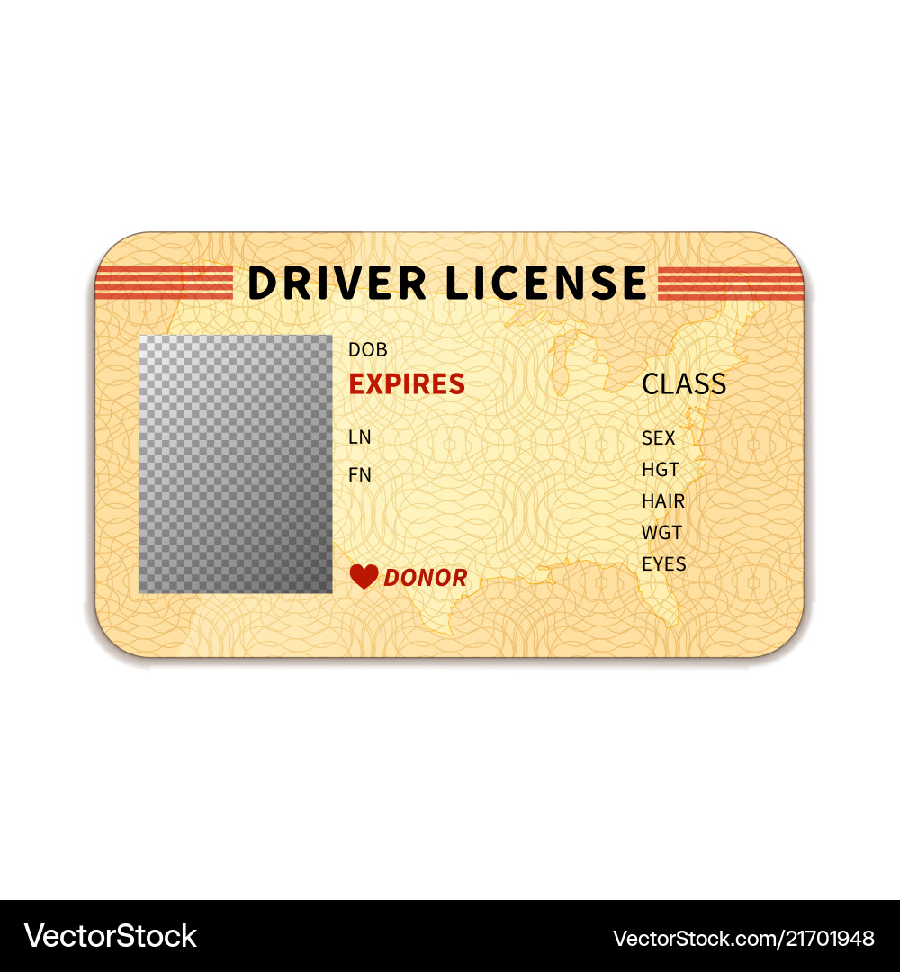 Realistic driver license with place for photo Vector Image