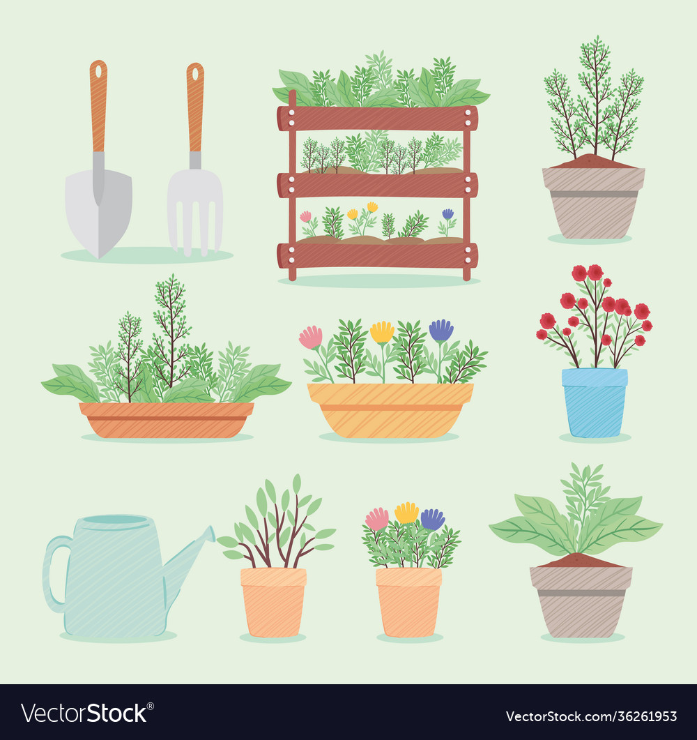 Bundle gardening tools and houseplants Royalty Free Vector