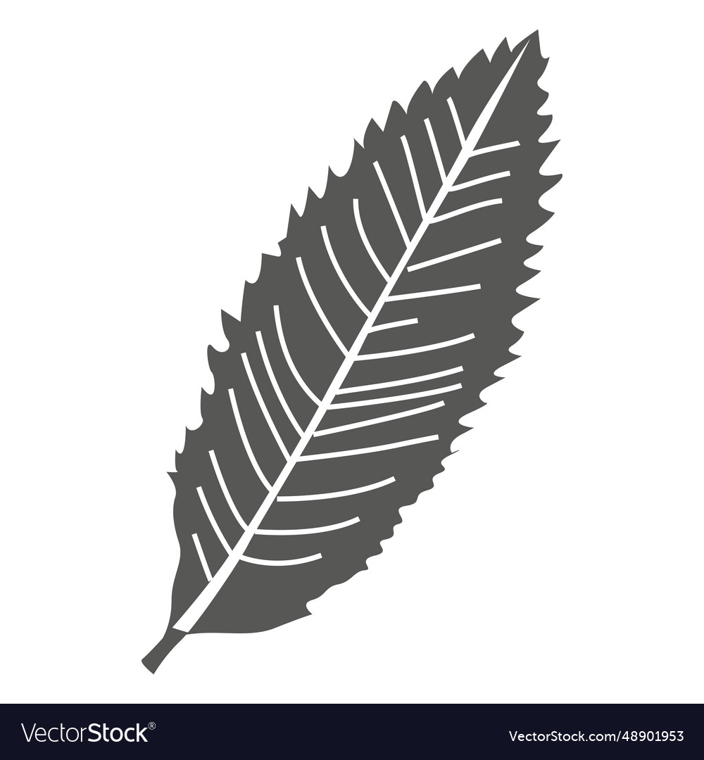 Lanceolate leaf line style Royalty Free Vector Image