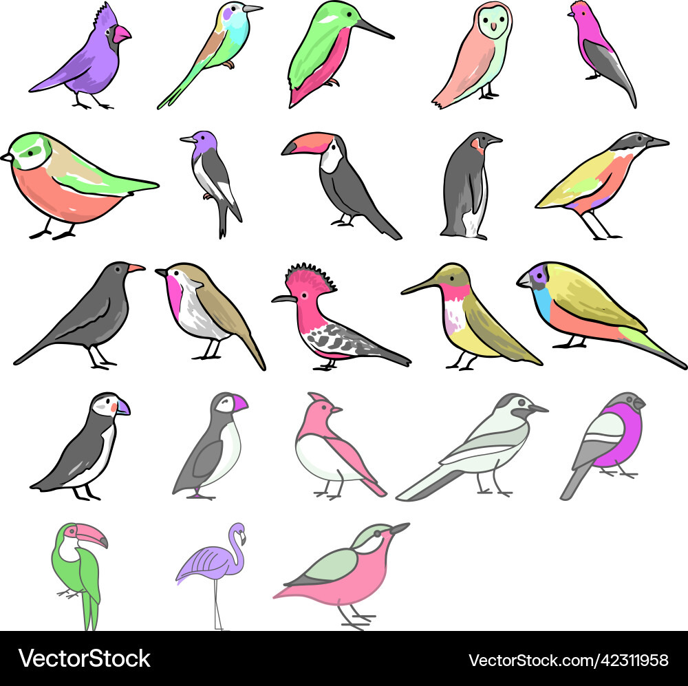 Birds sketch graphics colorful editable set Vector Image