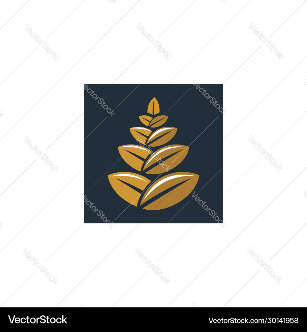 Square gold wealth finance Royalty Free Vector Image