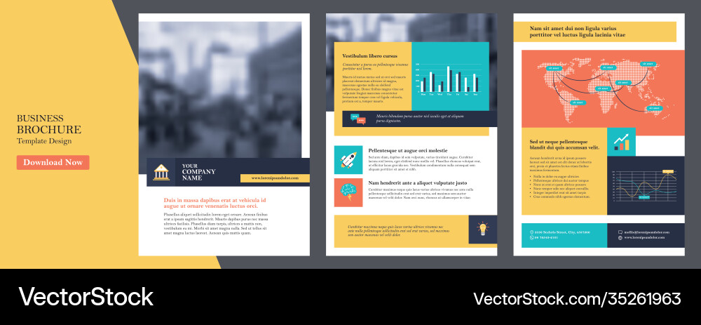 Annual report template catalog and magazine Vector Image