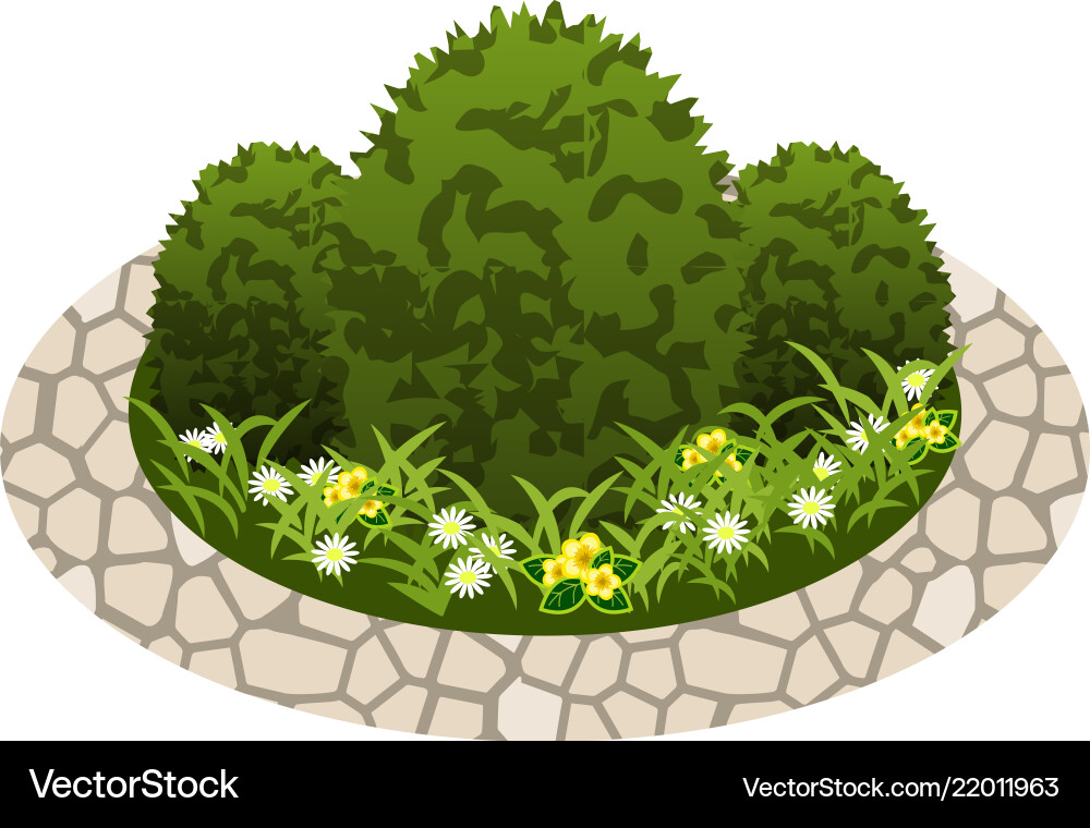 Garden flowers asset bushes Royalty Free Vector Image