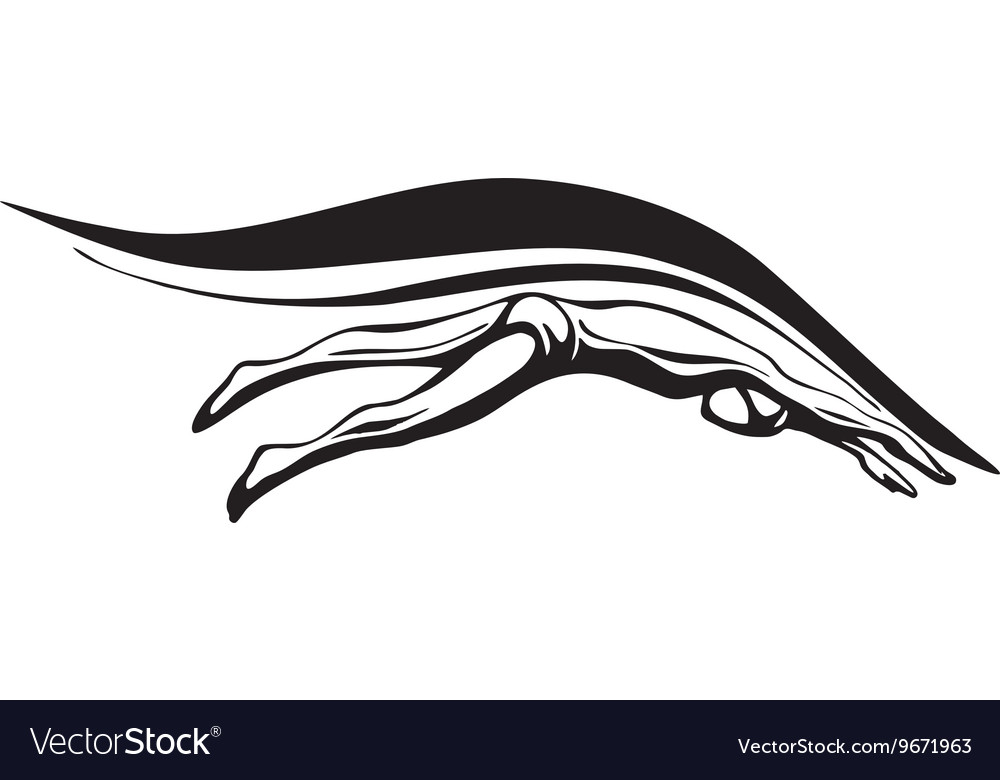 Swim2 Royalty Free Vector Image - VectorStock