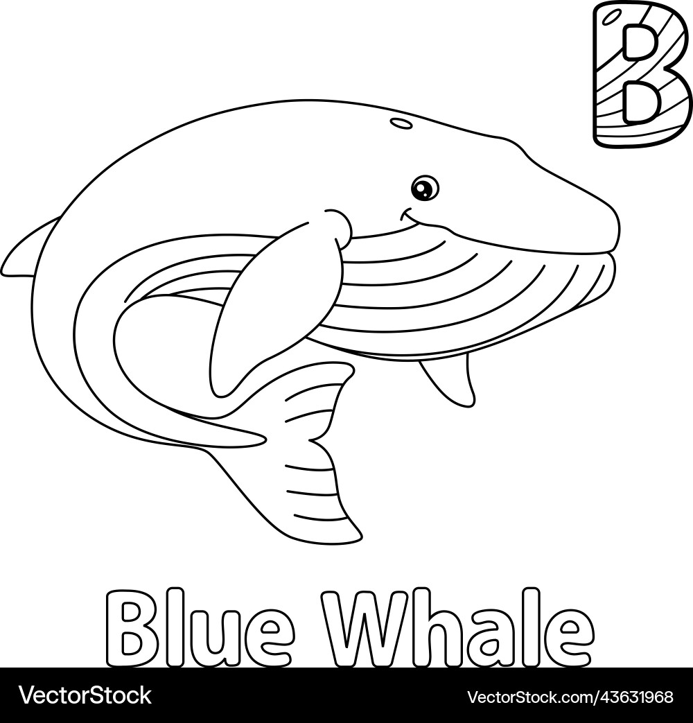 Blue whale alphabet abc coloring page b Royalty Free Vector