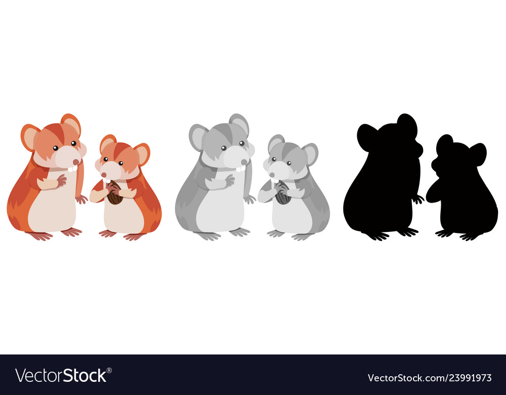 Set cute hamster Royalty Free Vector Image - VectorStock