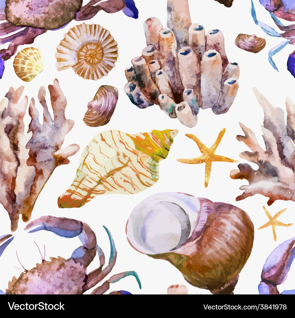 Corals with shells and crabs Royalty Free Vector Image