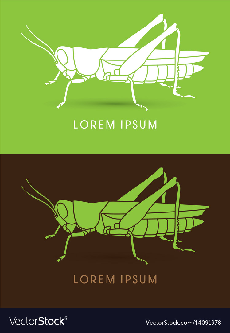Grasshopper side view Royalty Free Vector Image