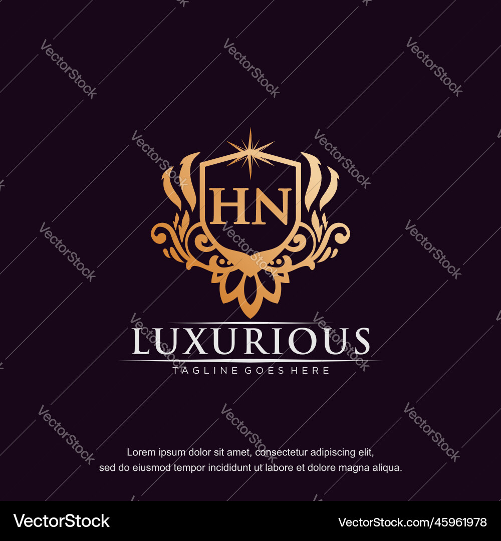 Hn initial letter luxury ornament gold monogram Vector Image