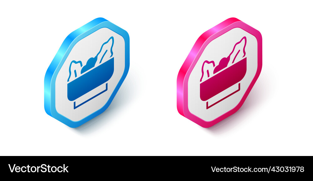 Isometric wonton icon isolated on white background