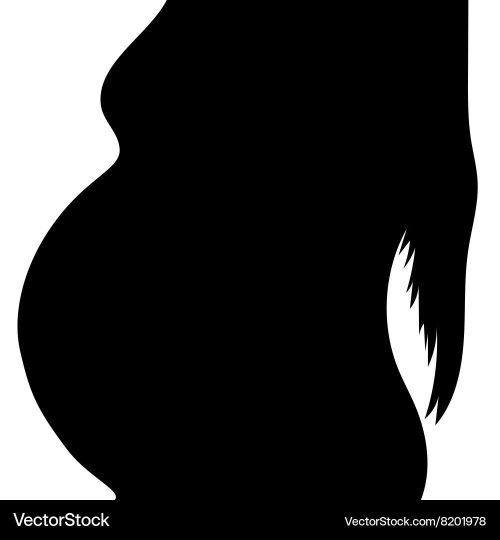 Pregnant womans belly closeup Royalty Free Vector Image