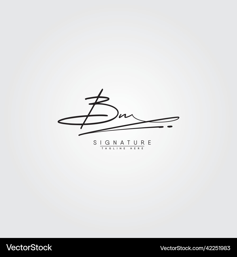 Initial letter bn logo - hand drawn signature Vector Image