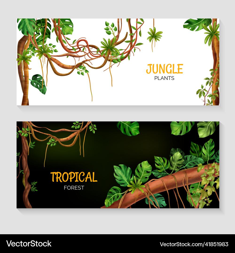 Liana jungle realistic banners Royalty Free Vector Image
