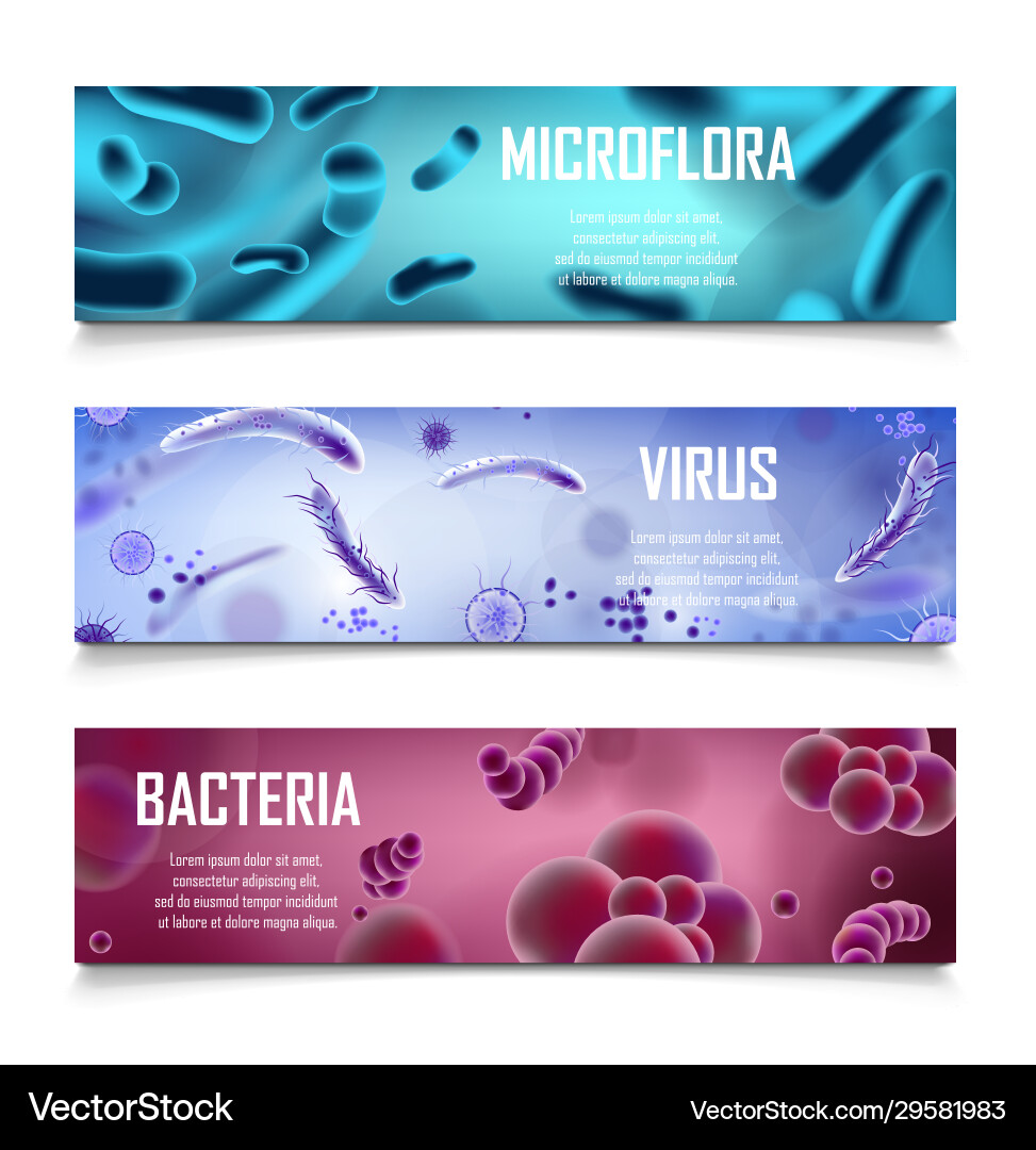 Microbiology and medical 3d ad design bacteria Vector Image