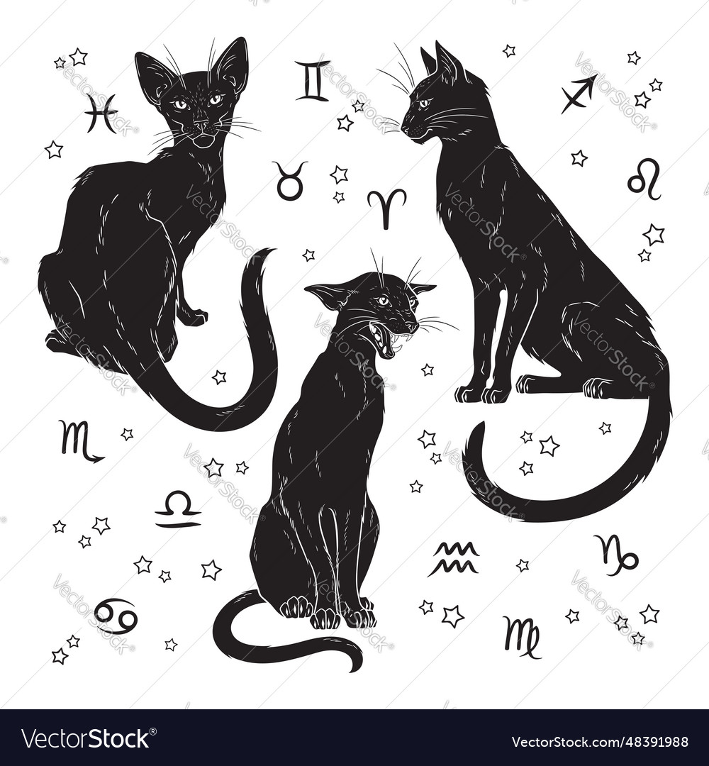 Black cats witch familiar spirit set halloween Vector Image