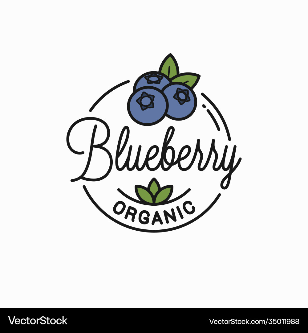Blueberry logo round linear organic blueberry Vector Image