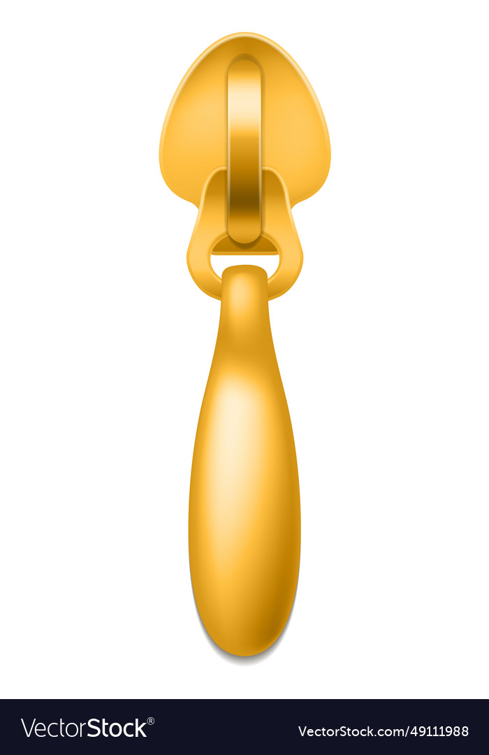 Golden zip puller fashion clothing realistic Vector Image