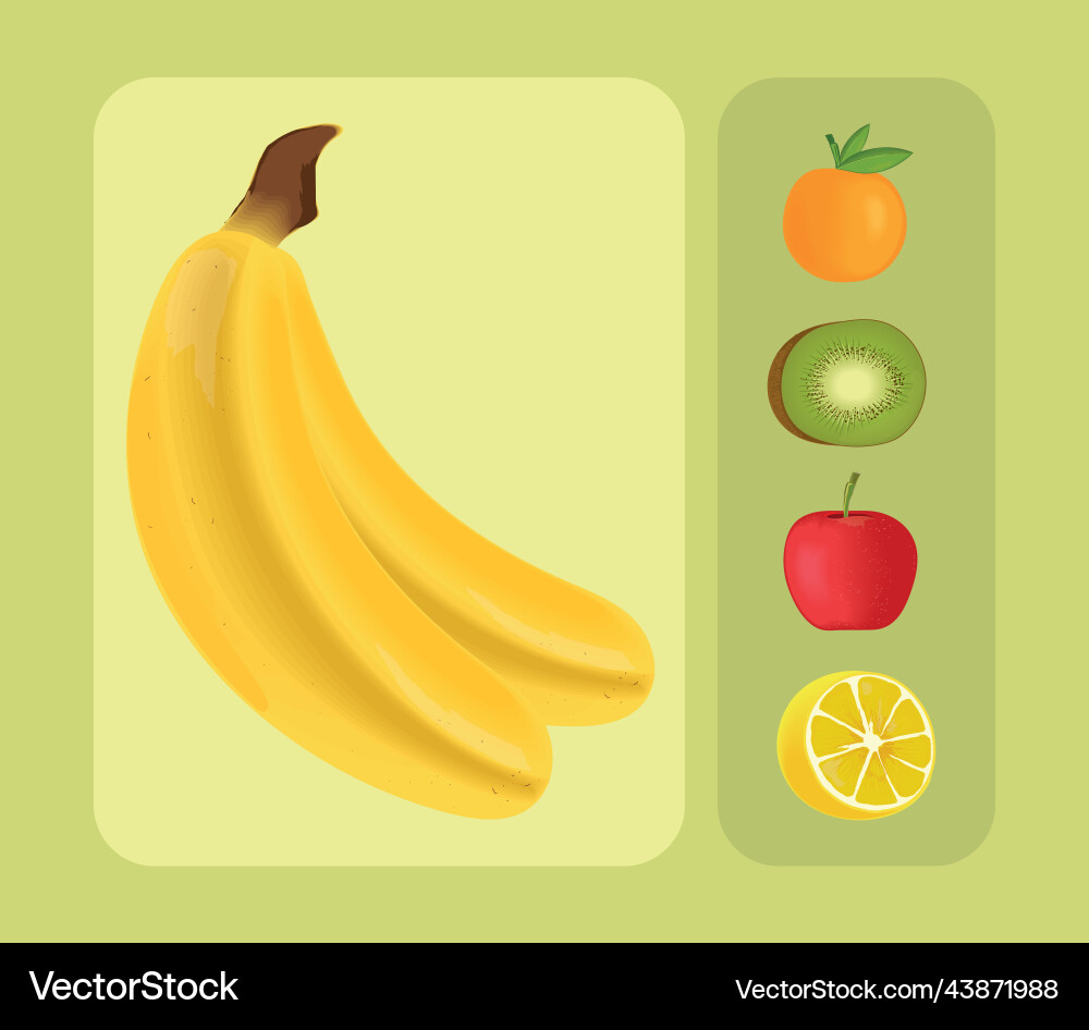 Icons fruits realistic Royalty Free Vector Image