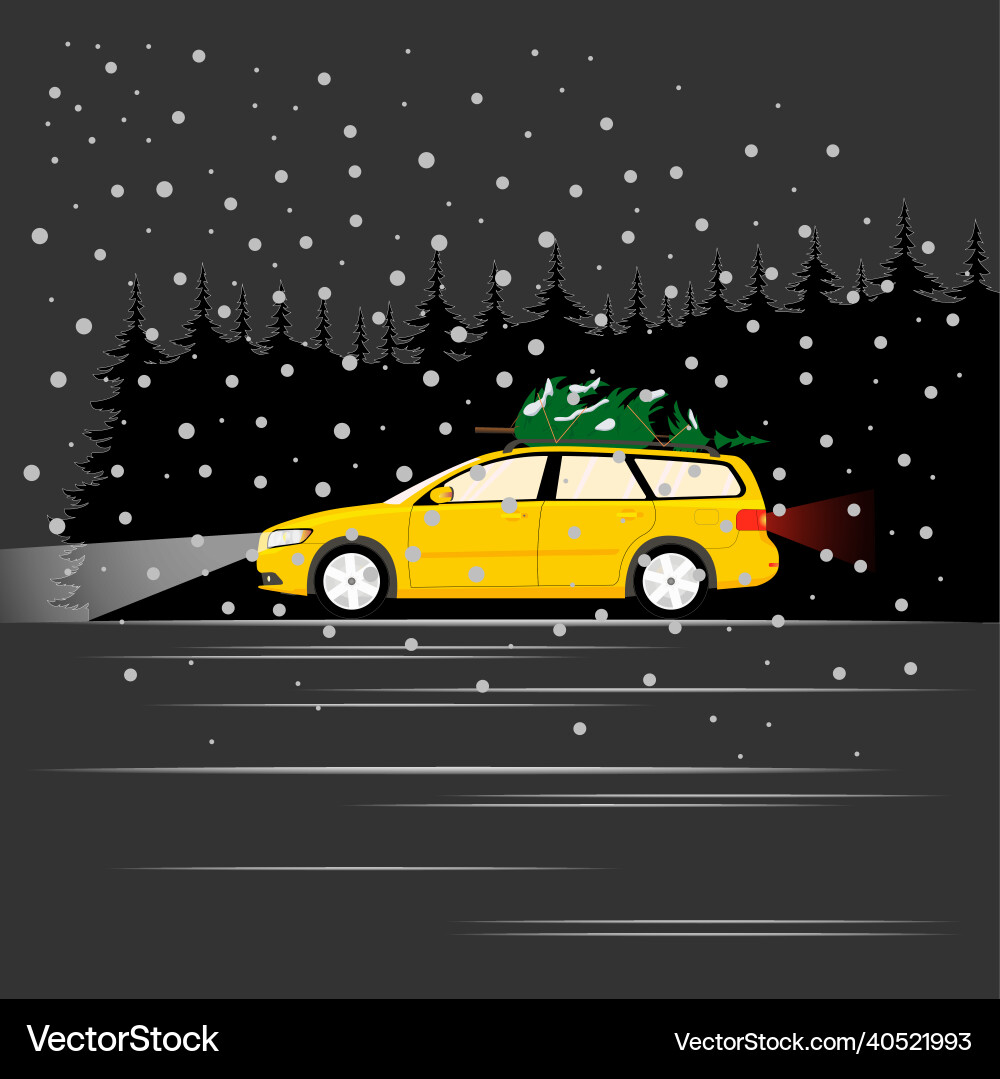 Car carries the tree at night from forest Vector Image