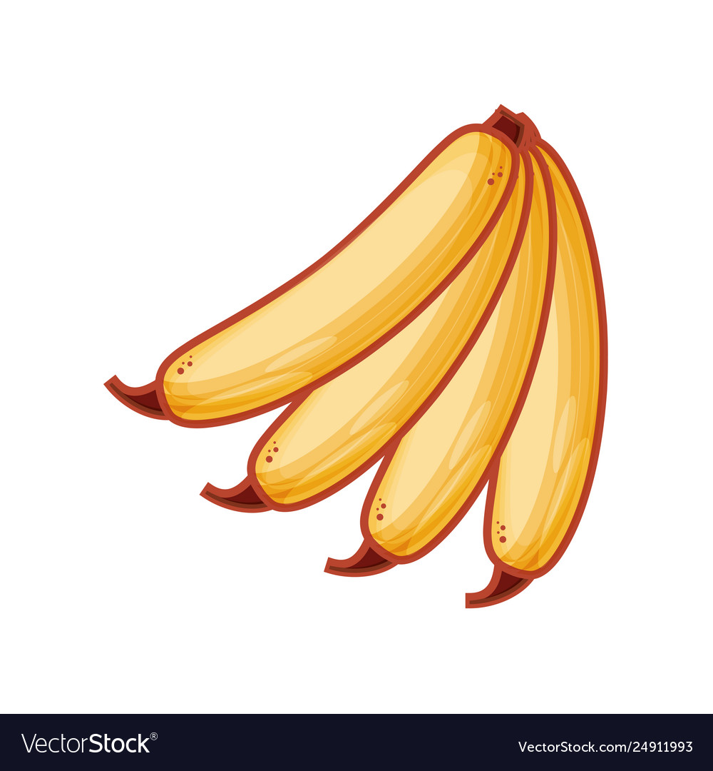 Fresh bunch banana fruit isolated icon Royalty Free Vector