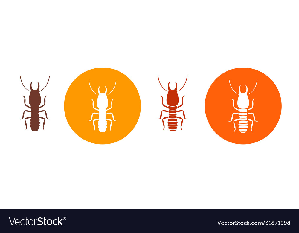 Termite Royalty Free Vector Image - VectorStock