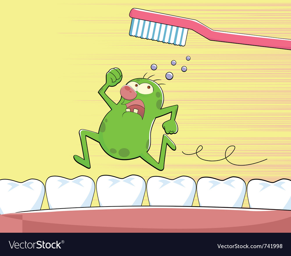 Tooth germ Royalty Free Vector Image - VectorStock