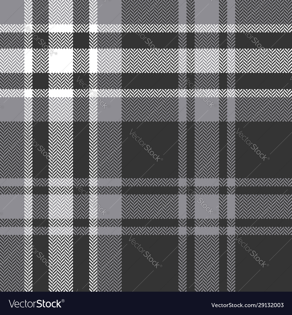 Plaid pattern background dark grey white Vector Image