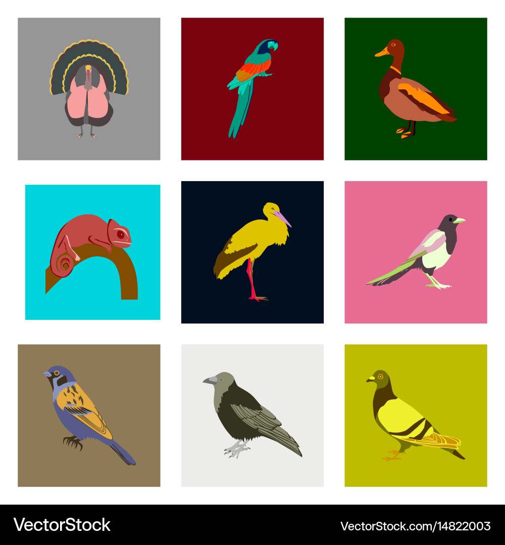 Set of in flat style birds Royalty Free Vector Image