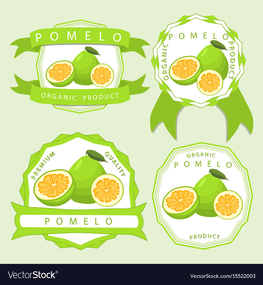 Theme pomelo Royalty Free Vector Image - VectorStock