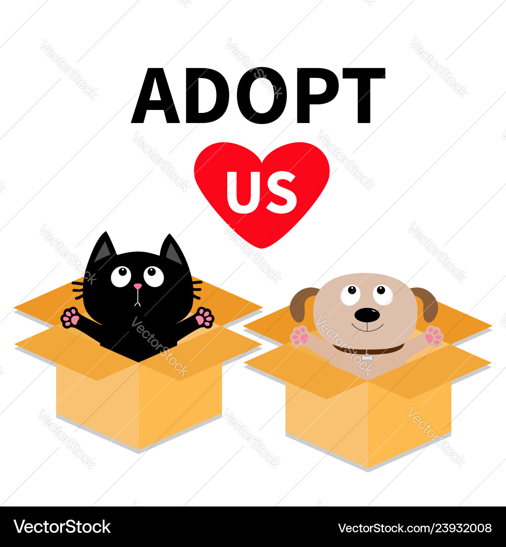 Adopt us dont buy dog cat inside opened cardboard Vector Image