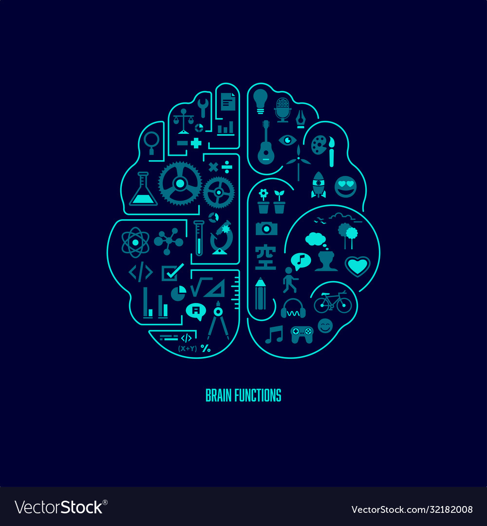 Brainfunctions2 Royalty Free Vector Image - VectorStock