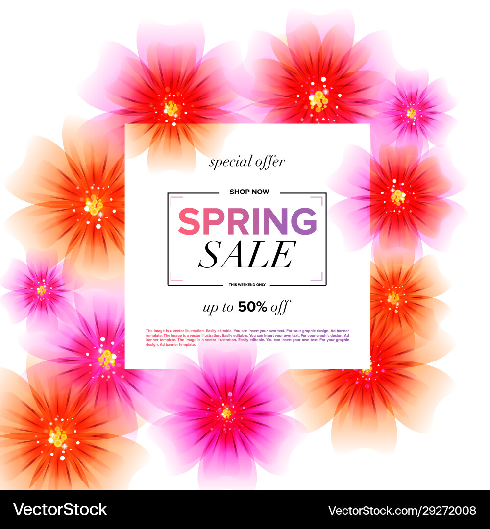 Spring sale background with beautiful flowers Vector Image