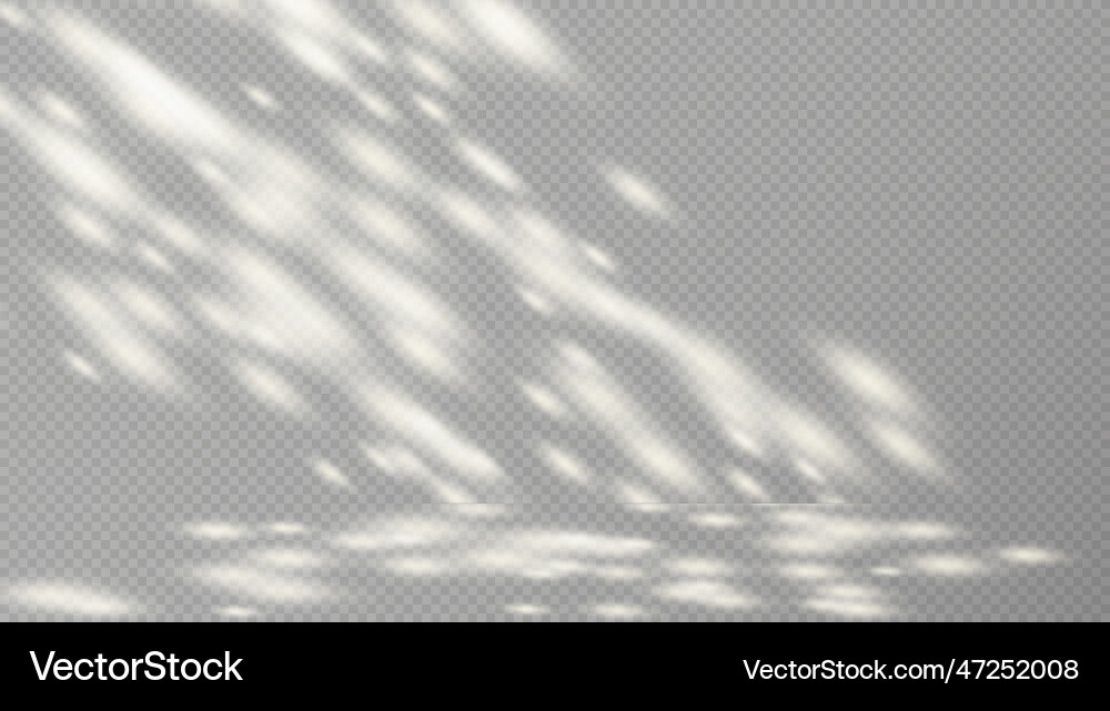 Sunlight on a wall overlay sunbeams in a room Vector Image