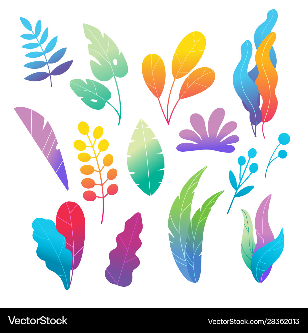 Doodle colorful leaves and flowers flat set Vector Image