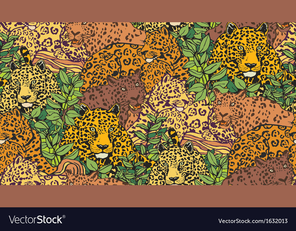 Leopards Royalty Free Vector Image - VectorStock