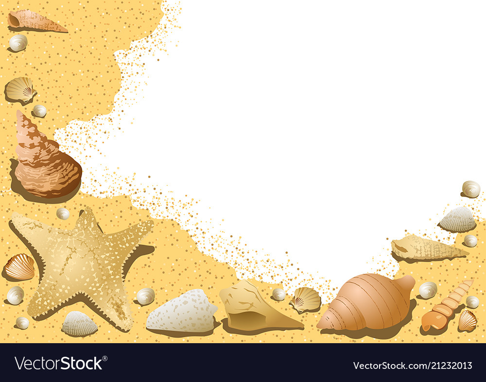 Sandy background with seashells Royalty Free Vector Image