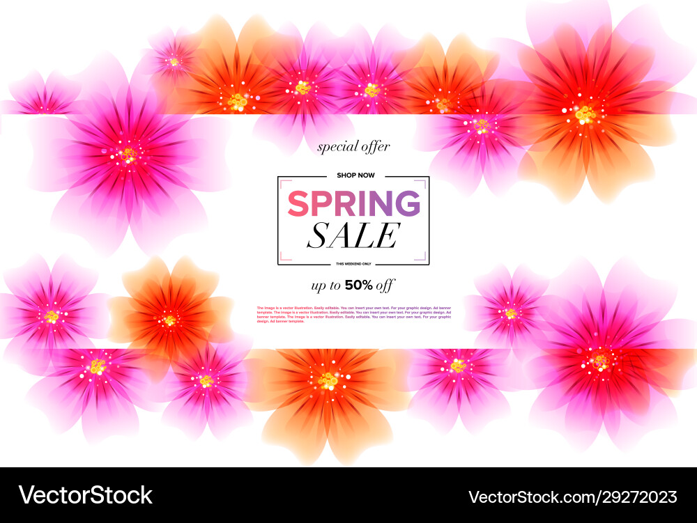 Spring sale background with beautiful flowers Vector Image
