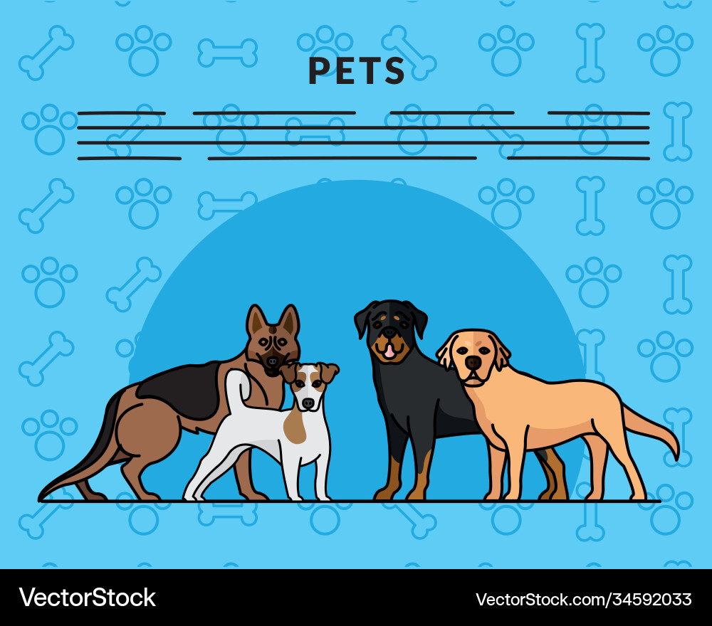 Four dogs pets mascots breed characters Royalty Free Vector