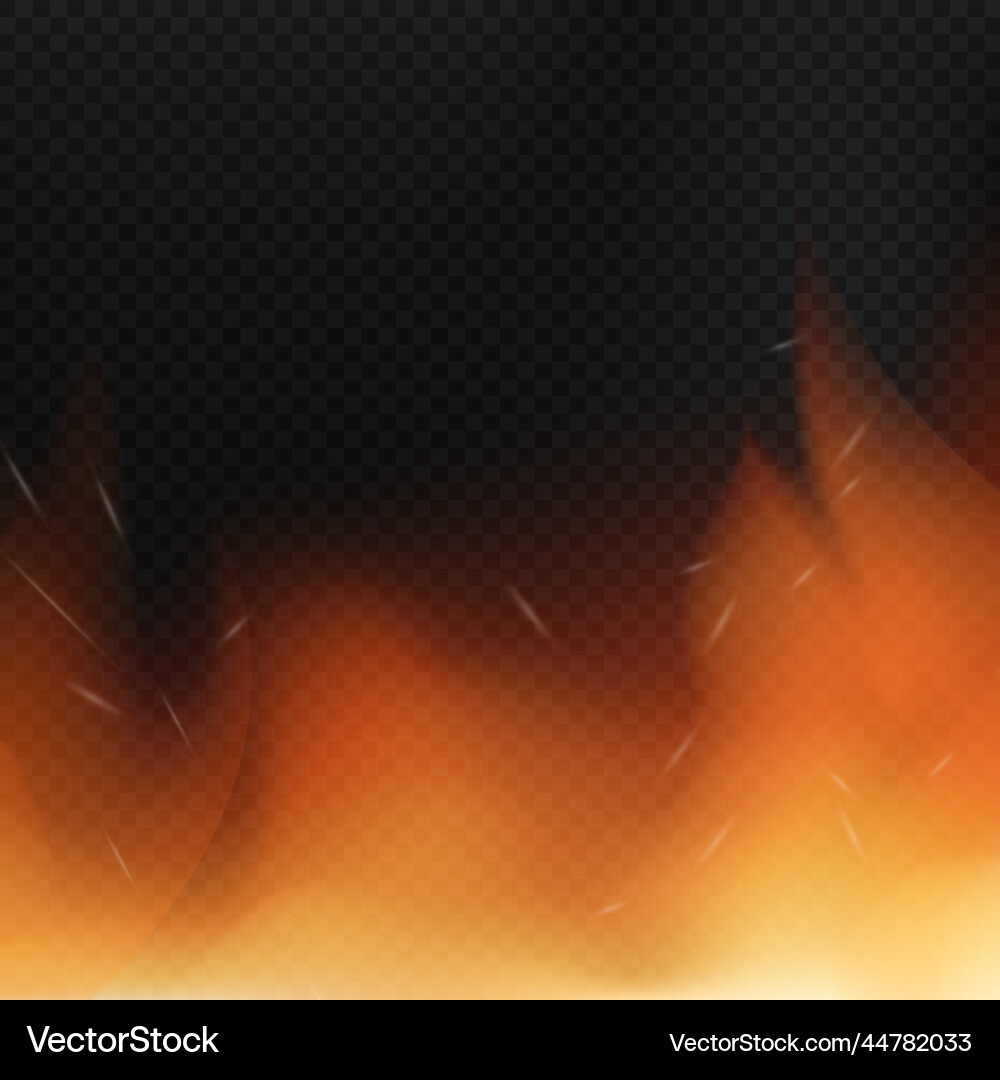 Realistic red-yellow fire on a dark background Vector Image
