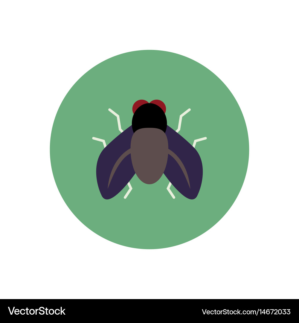 Stylish icon in color circle fly insect Royalty Free Vector