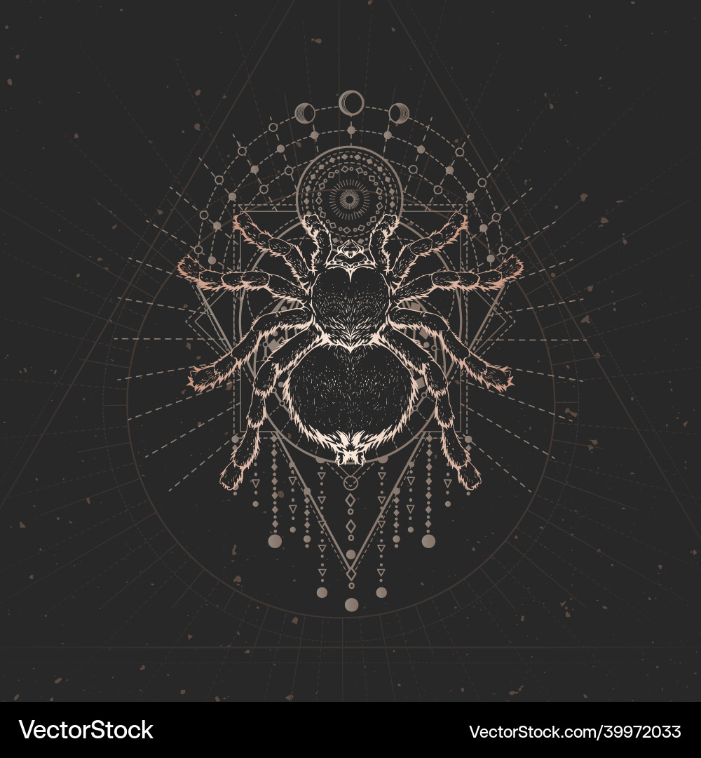 With hand drawn spider and sacred geometric Vector Image