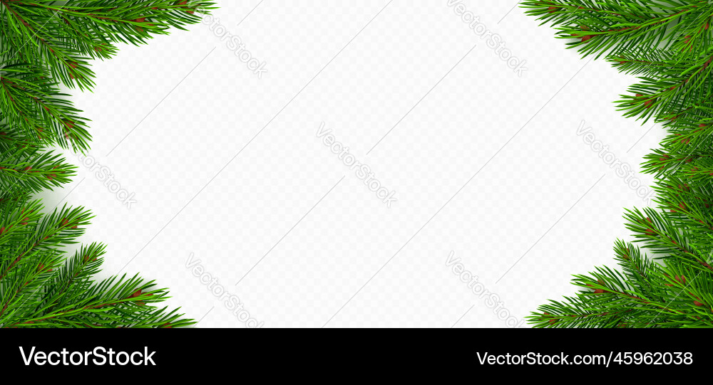 Pine tree branch border green fir twigs frame Vector Image