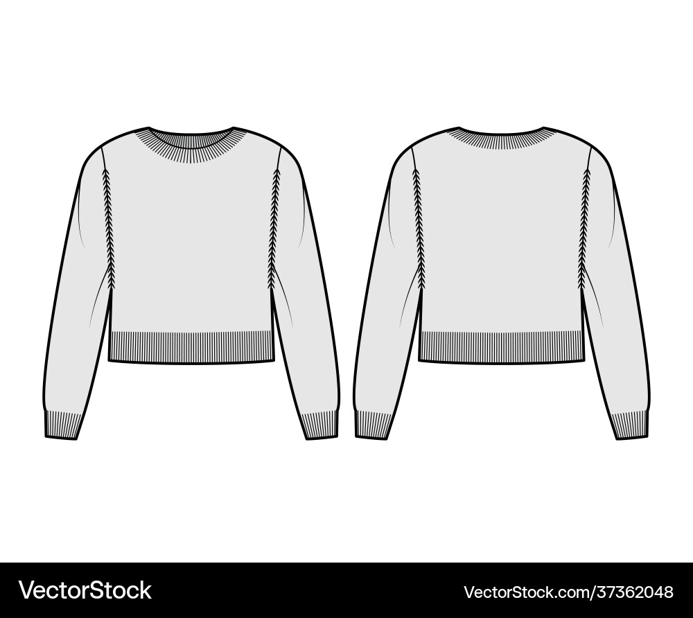 Crew neck cropped sweater technical fashion Vector Image