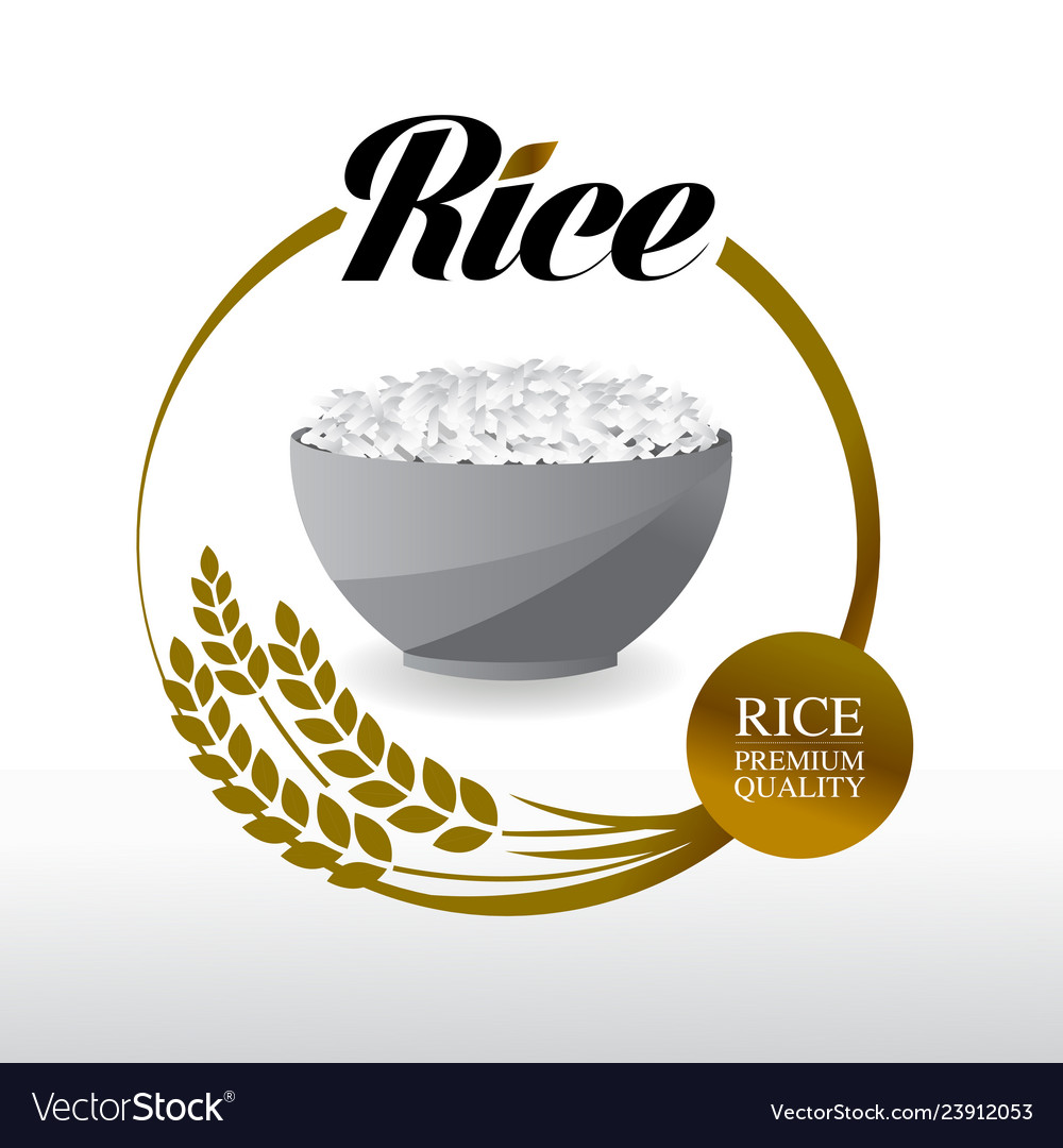 Premium rice great quality design concept Vector Image
