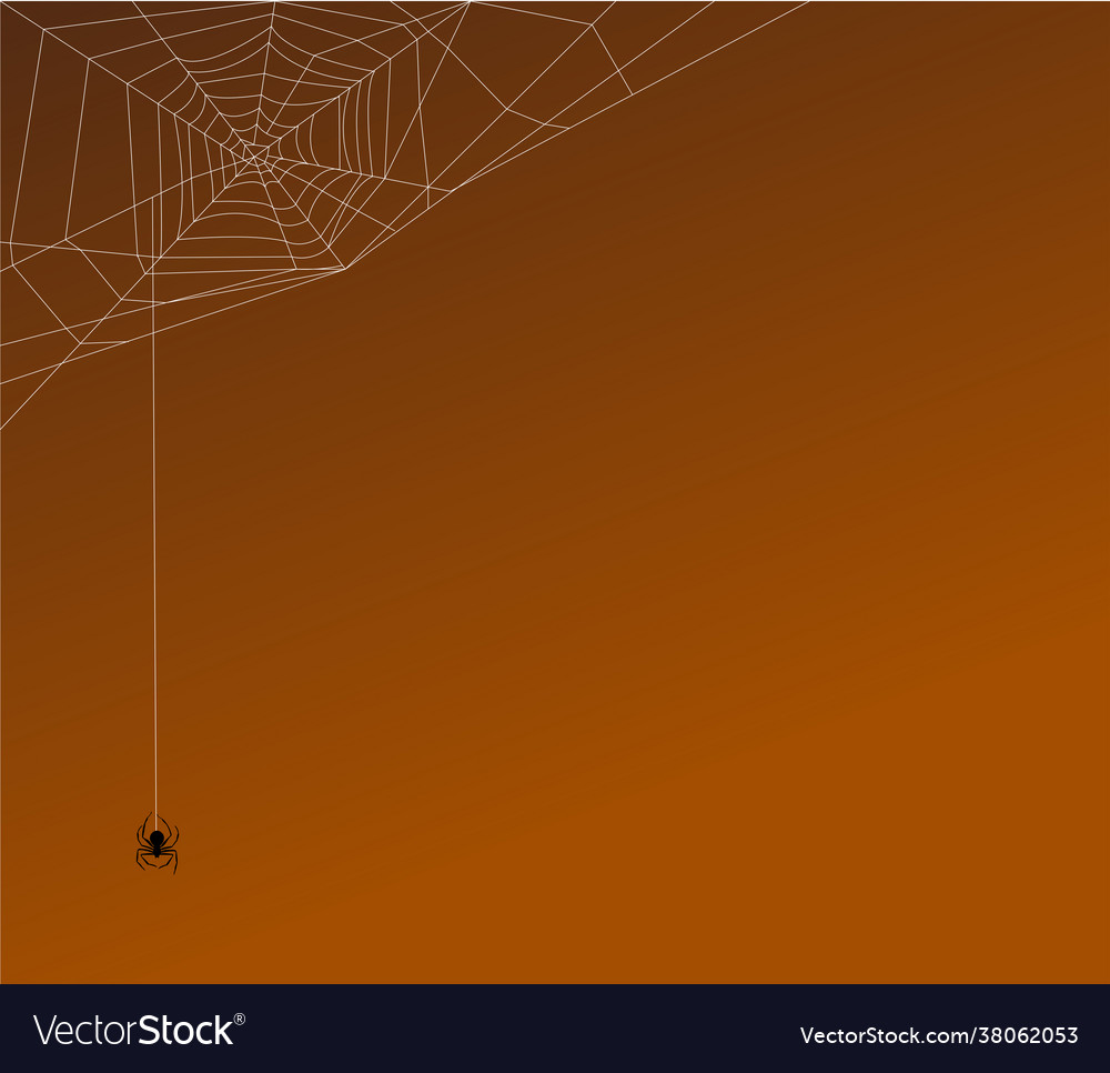 Spiders web with hanging spider on a thread Vector Image