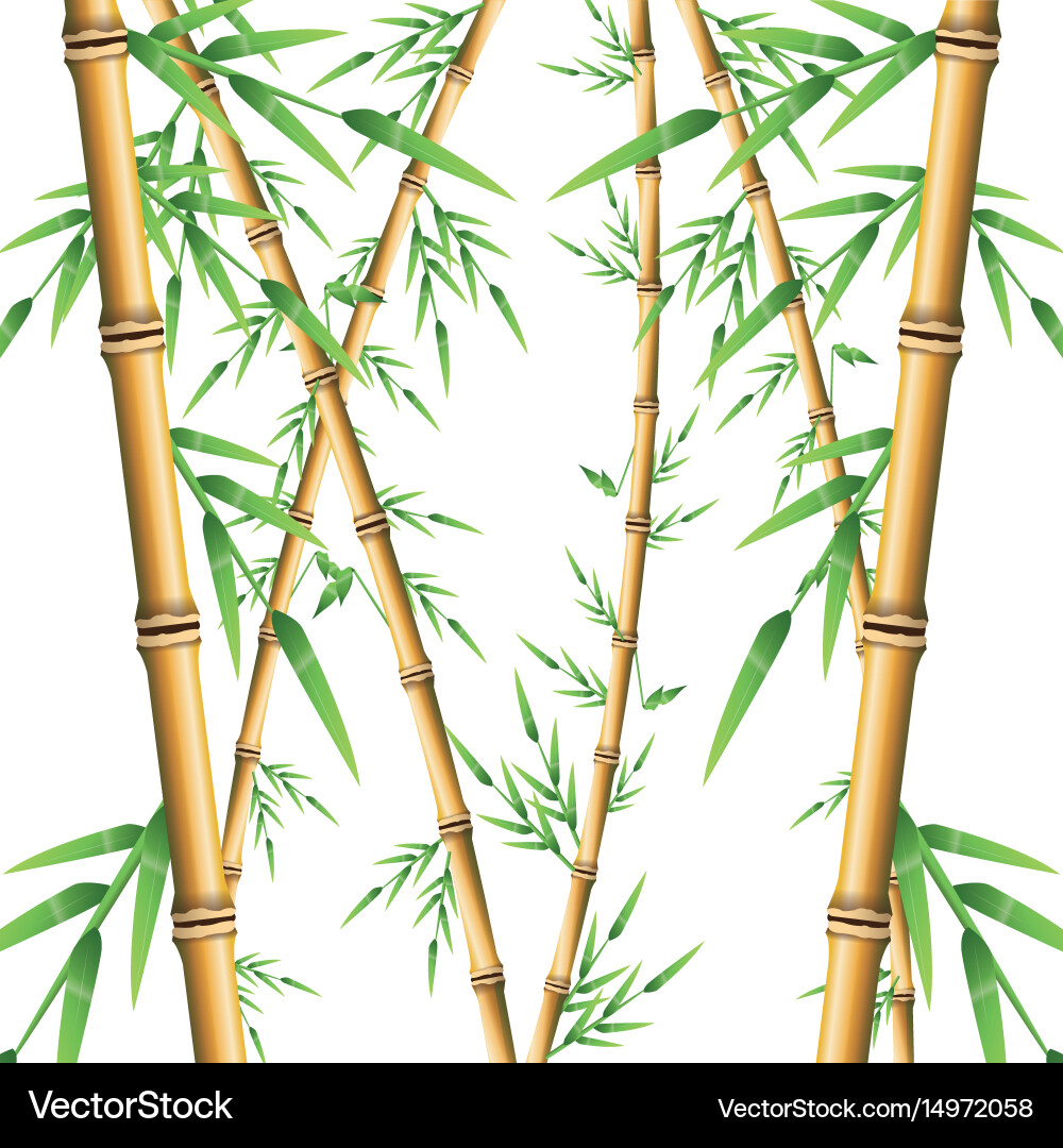 Bamboo forest set spa nature plant tree with Vector Image