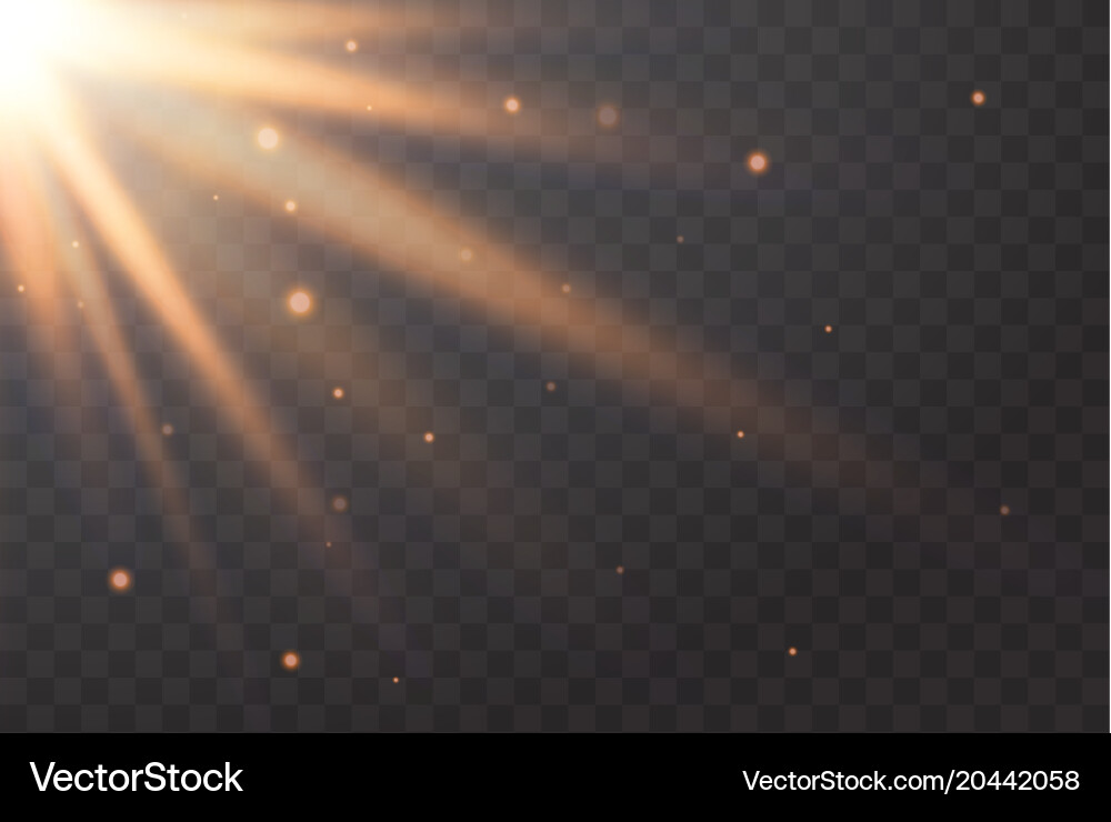 Realistic sun flare starburst transparent Vector Image