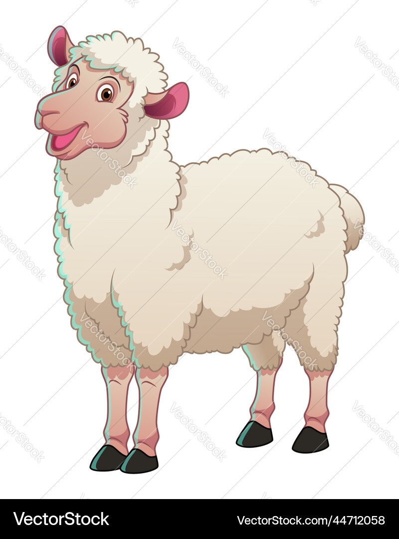 White sheep cartoon animal Royalty Free Vector Image